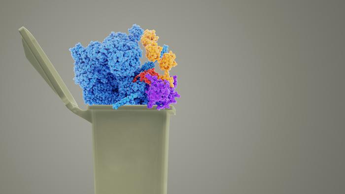 PROTAC activates the cell's ow [IMAGE] | EurekAlert! Science News Releases