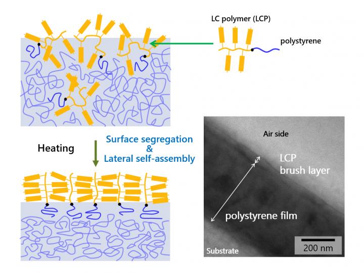 Schematic Depiction of Polymer [IMAGE] | EurekAlert! Science News Releases
