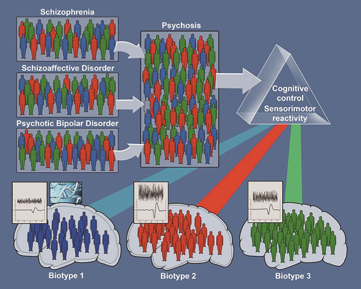 Psychosis Biotypes and Traditi [IMAGE] | EurekAlert! Science News Releases