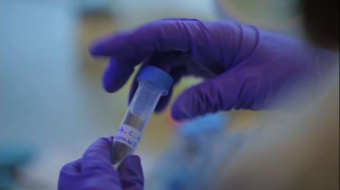 Sample tube [IMAGE] | EurekAlert! Science News Releases