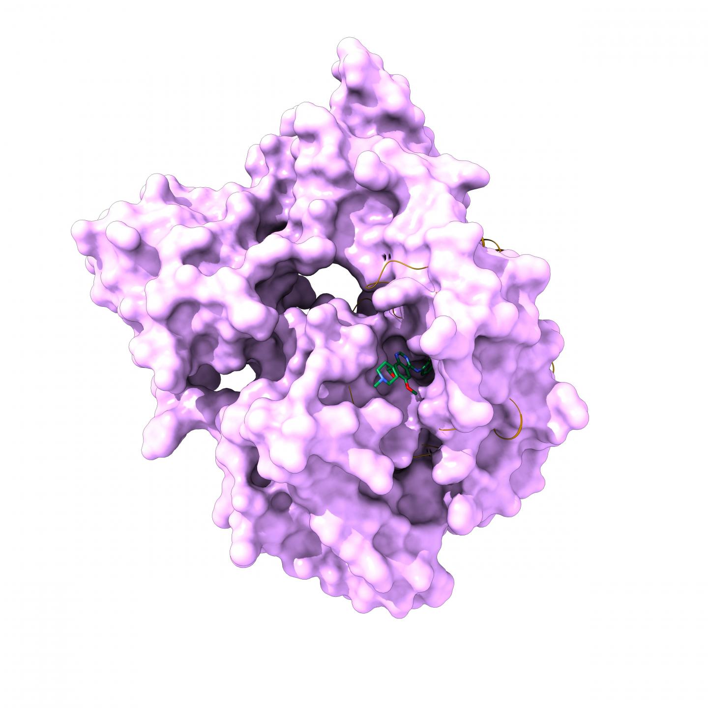 KRAS Protein [IMAGE] | EurekAlert! Science News Releases