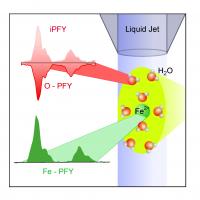 Aqueous iron interacts as strong as solid iro | EurekAlert!