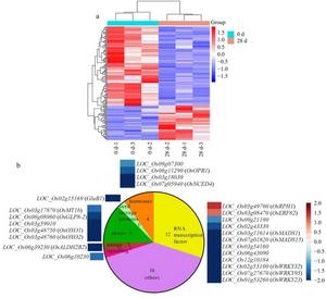 Studying the physiological variations and dif | EurekAlert!