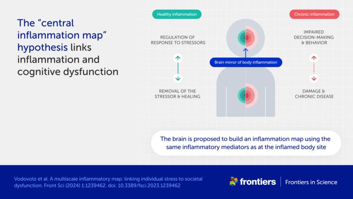 The 'central inflammation map' [IMAGE] | EurekAlert! Science News Releases