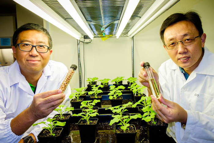 Asst Prof Wei Ma (left) holdin [IMAGE] | EurekAlert! Science News Releases