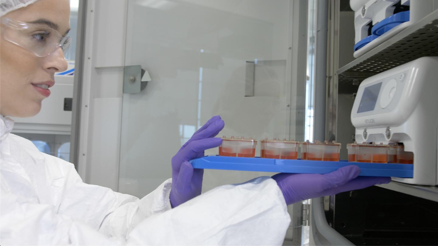 Emulate Lab-Ready Organs-on-Ch [IMAGE] | EurekAlert! Science News Releases