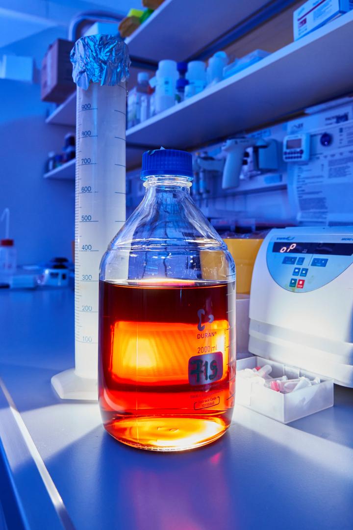 Bottle [IMAGE] | EurekAlert! Science News Releases