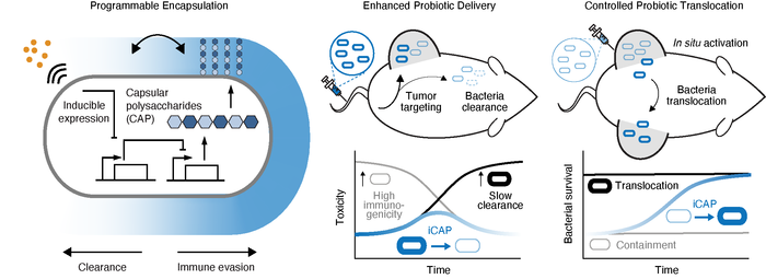 Figure 2 [IMAGE] | EurekAlert! Science News Releases