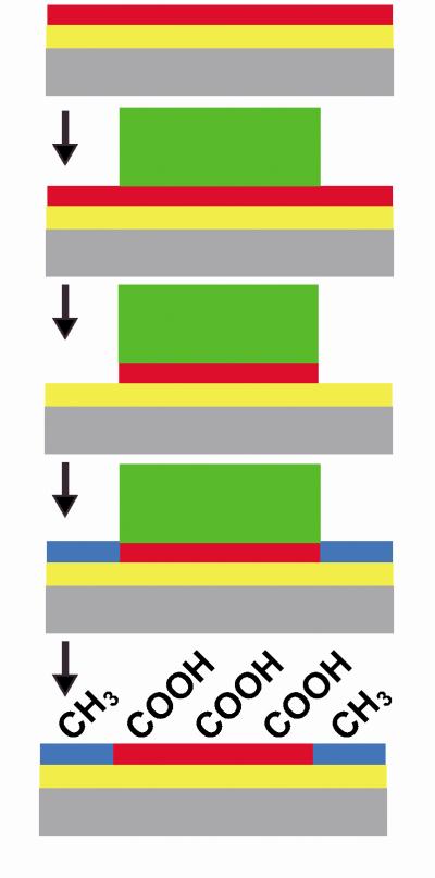 Lithography and Molecular Self [IMAGE] | EurekAlert! Science News Releases