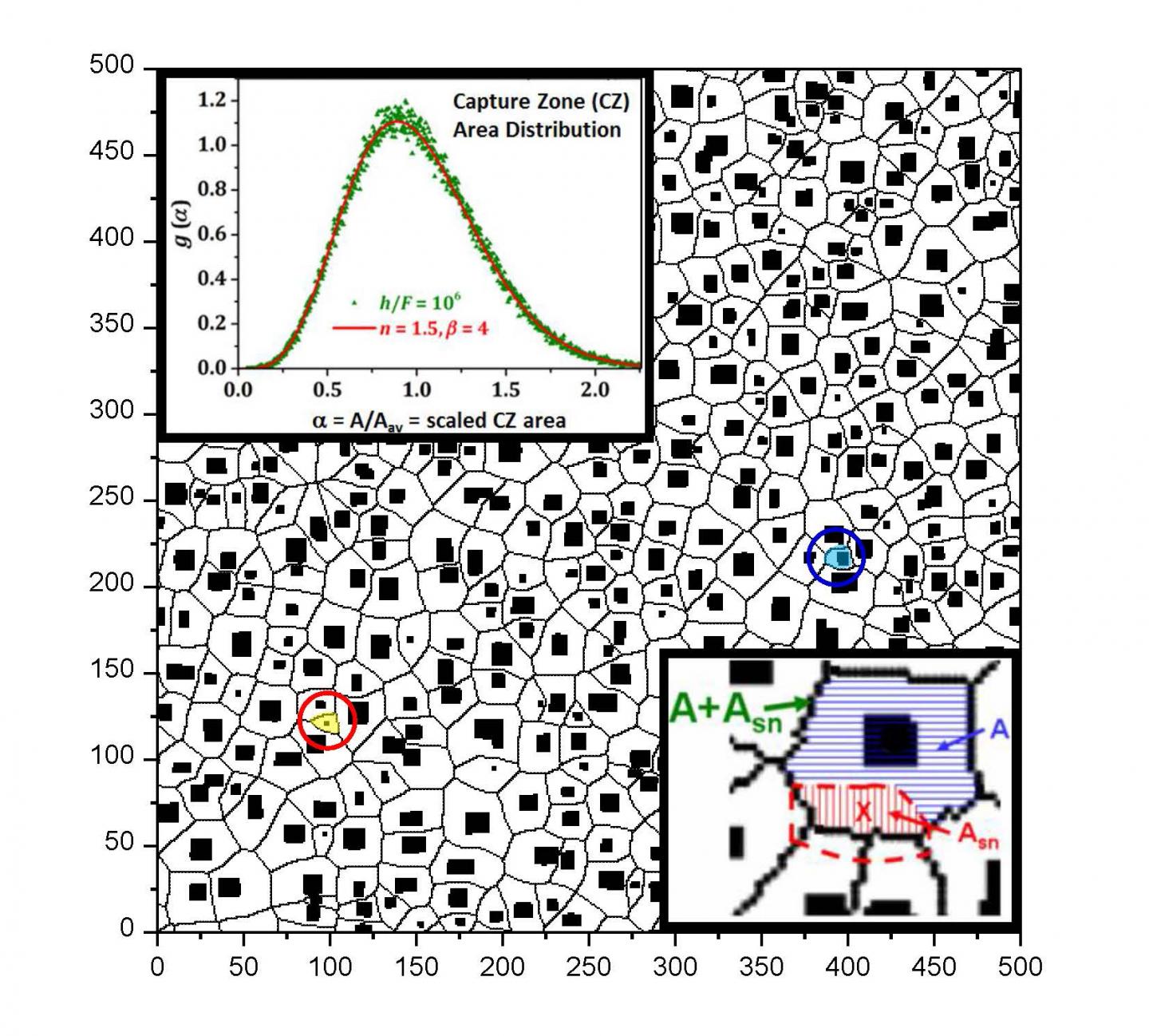 Capture Zone Area Distribution [IMAGE] | EurekAlert! Science News Releases