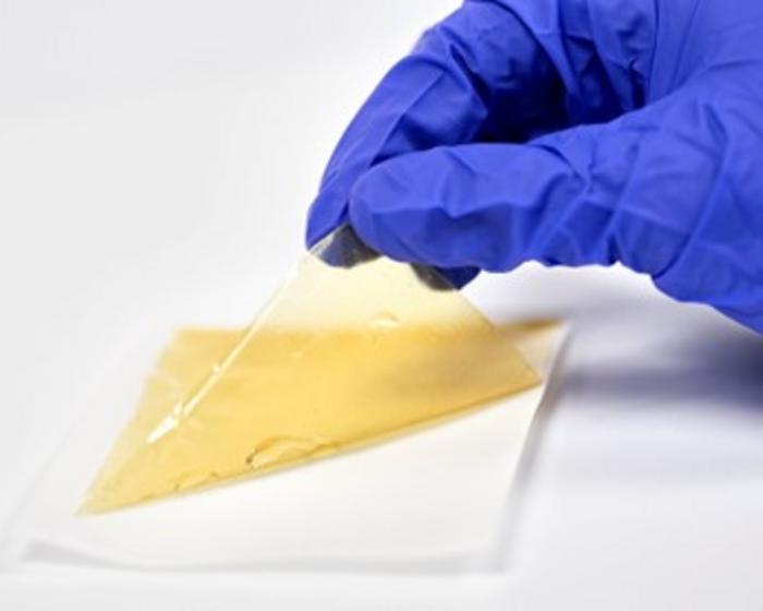 Fuel cell membrane [IMAGE] | EurekAlert! Science News Releases