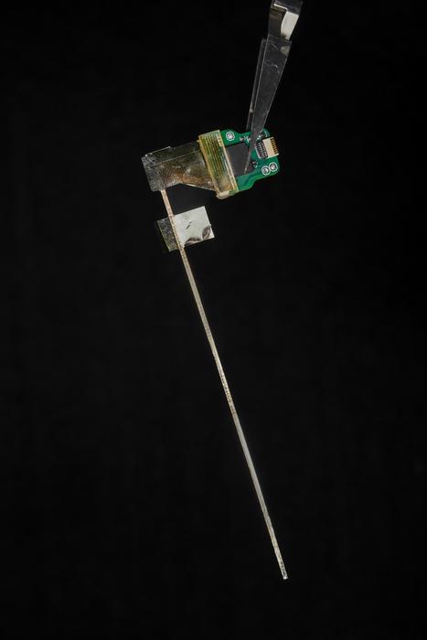 Overall picture of the electro [IMAGE] | EurekAlert! Science News Releases