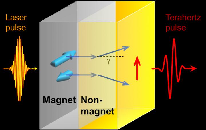 Terahertz radiation: A useful source for food | EurekAlert!