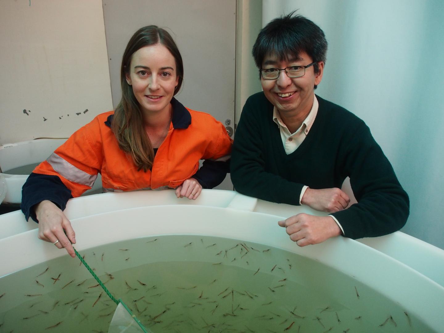 Jess Ericson and So Kawaguchi, [IMAGE] | EurekAlert! Science News Releases