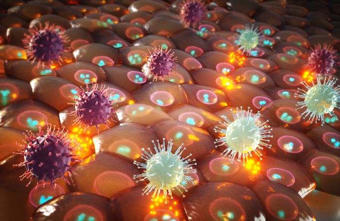 Scientists pinpoint protein that helps cancer | EurekAlert!