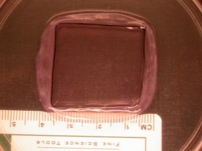 Bioengineered Heart Muscle [IMAGE] | EurekAlert! Science News Releases