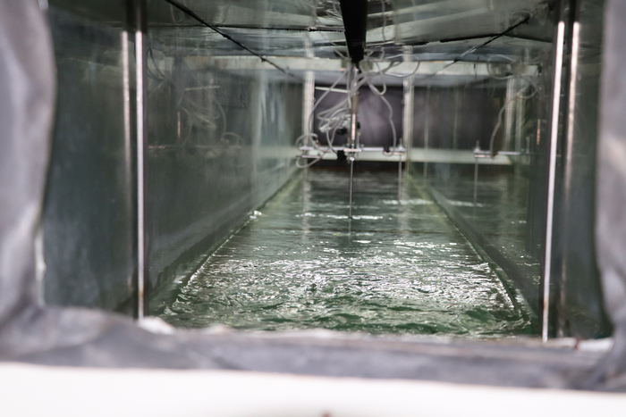 Water Wave Laboratory, headed [IMAGE] | EurekAlert! Science News Releases