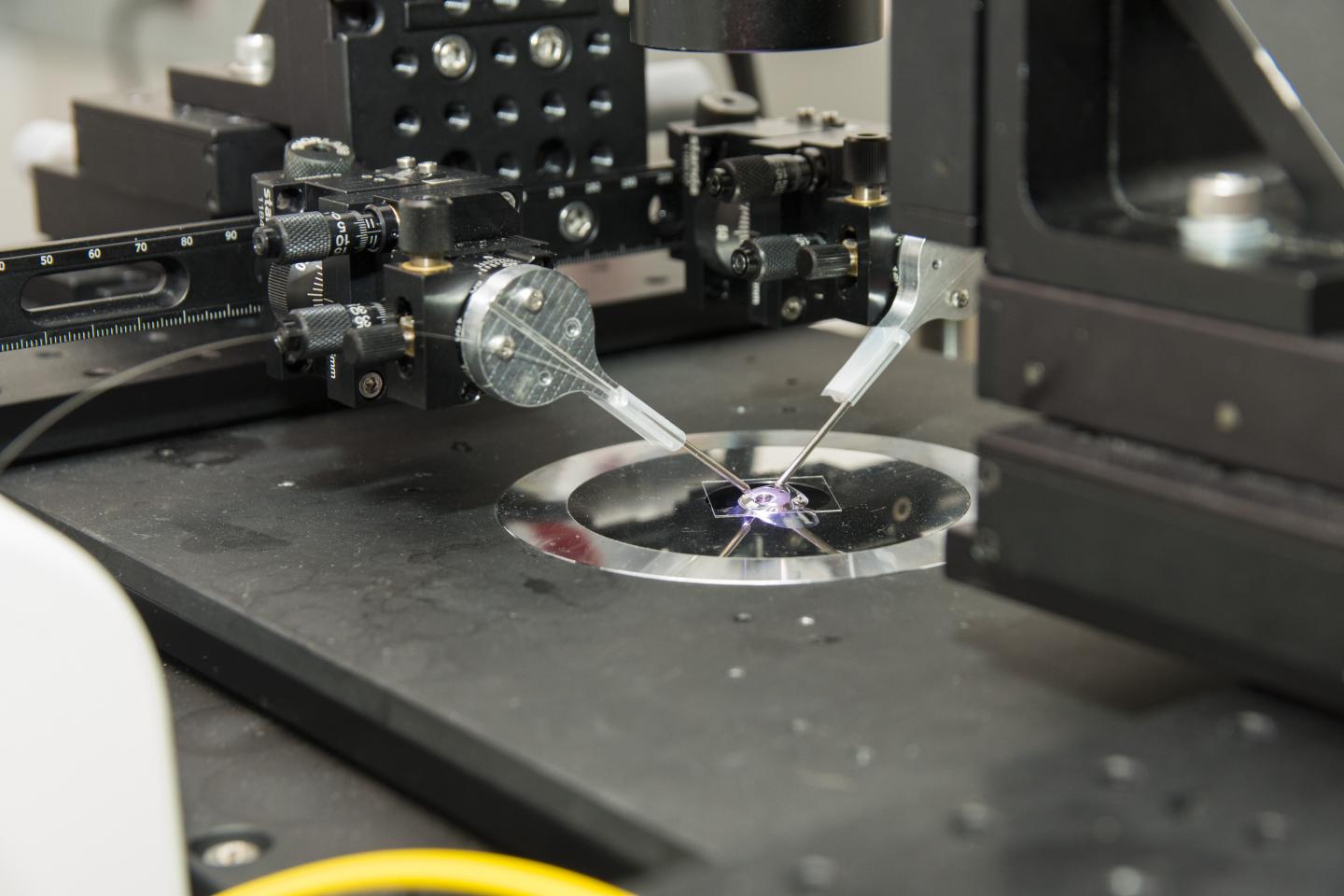WPI Fiber Optical Tweezers Clo [IMAGE] | EurekAlert! Science News Releases