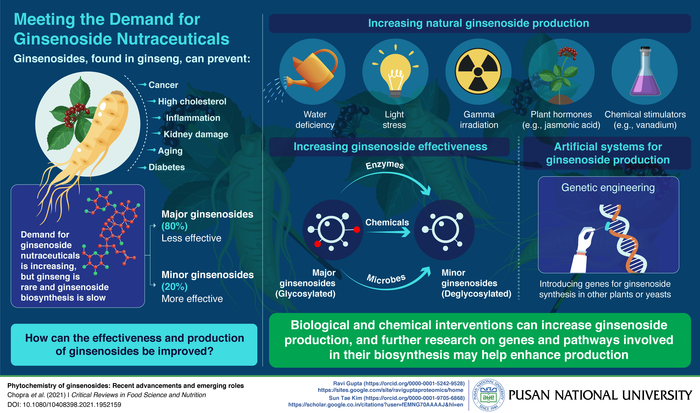 Scientists from Pusan National University emp | EurekAlert!
