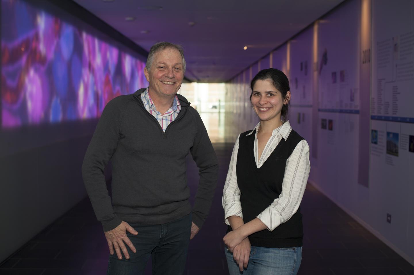 Professor David Tarlinton and [IMAGE] | EurekAlert! Science News Releases