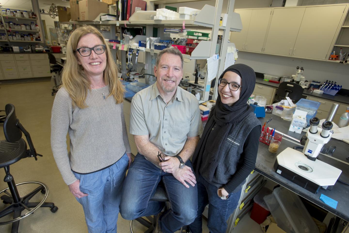 Maureen M. Barr; Yasmin Ramada [IMAGE] | EurekAlert! Science News Releases