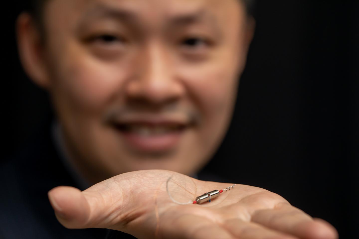 The Bio-Inspired Robot Designe [IMAGE] | EurekAlert! Science News Releases