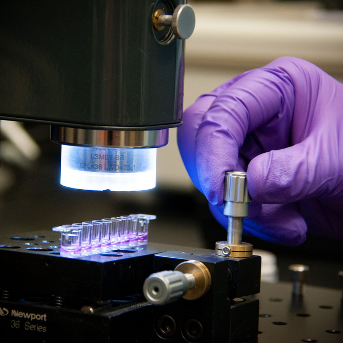 Optical Coherence Tomography [IMAGE] | EurekAlert! Science News Releases