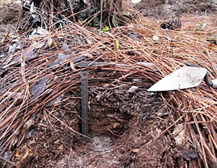 Duff Depth [IMAGE] | EurekAlert! Science News Releases