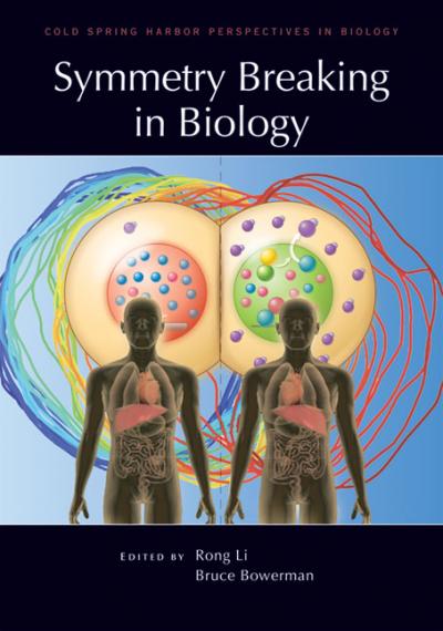 New book summarizes research on symmetry brea | EurekAlert!