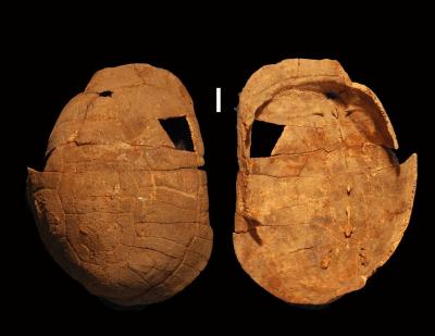 Skeleton of 12,000-year-old shaman discovered | EurekAlert!