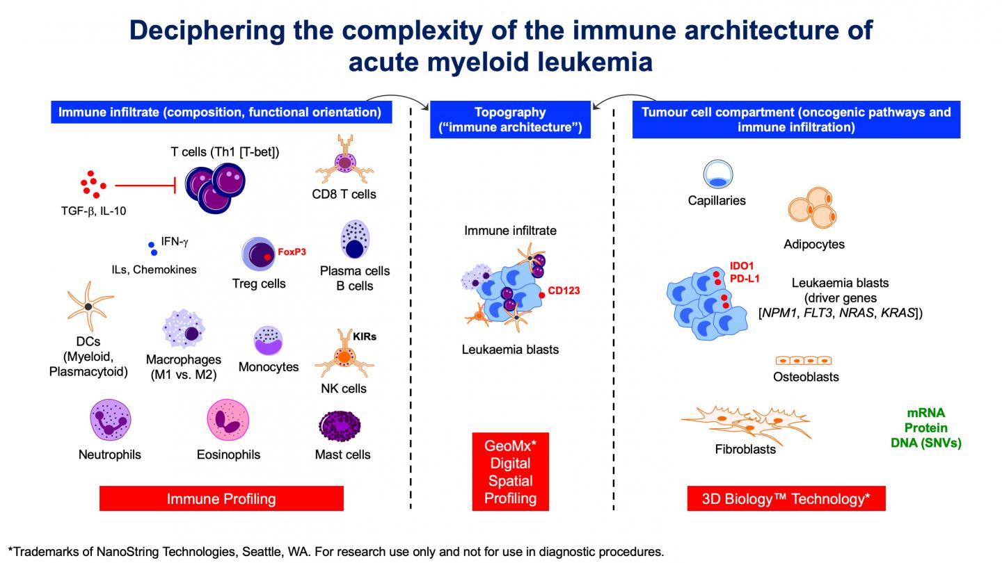 Leukemia Immune Profiles Predi [IMAGE] | EurekAlert! Science News Releases