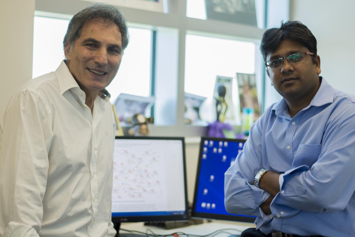 Borko Furht and Ankur Agarwal, [IMAGE] | EurekAlert! Science News Releases