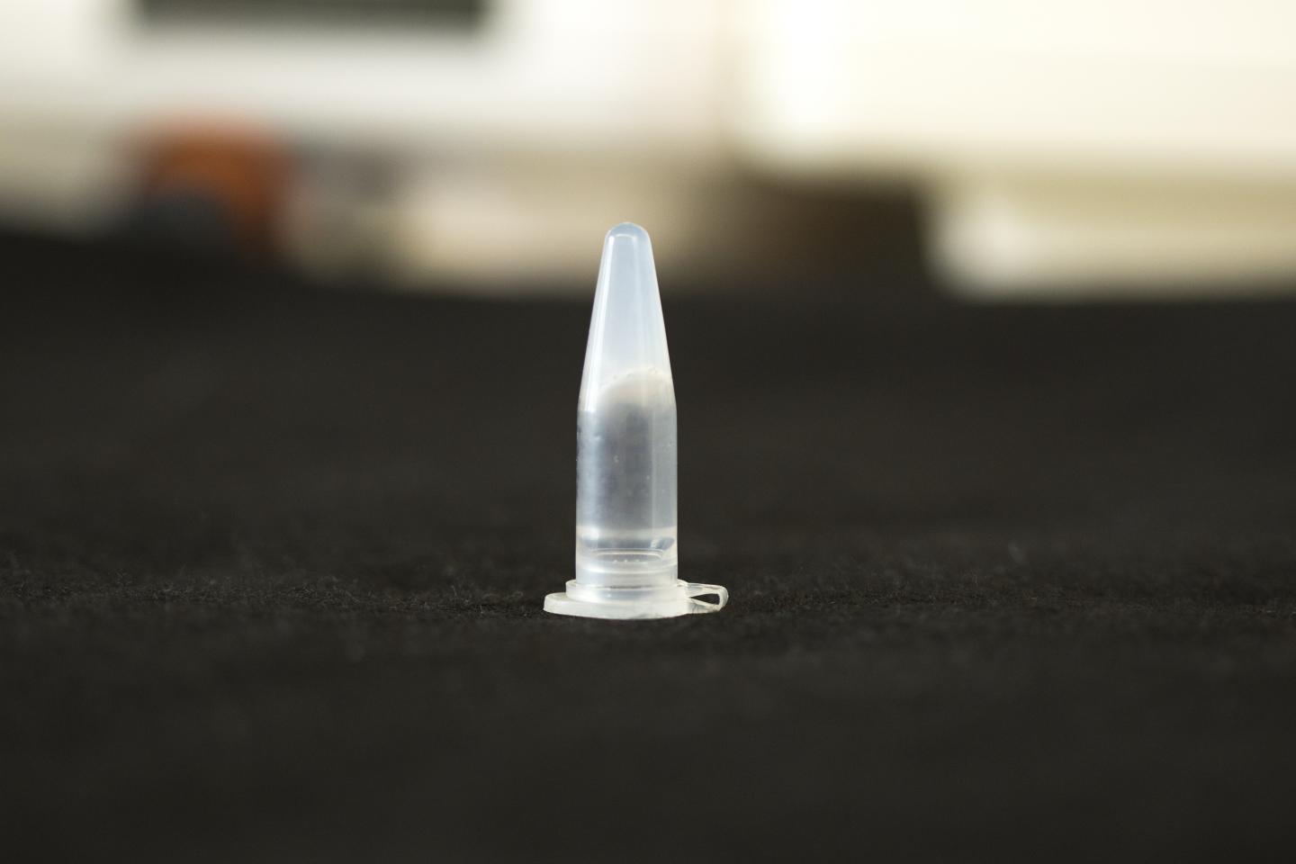 Hydrogel [IMAGE] | EurekAlert! Science News Releases