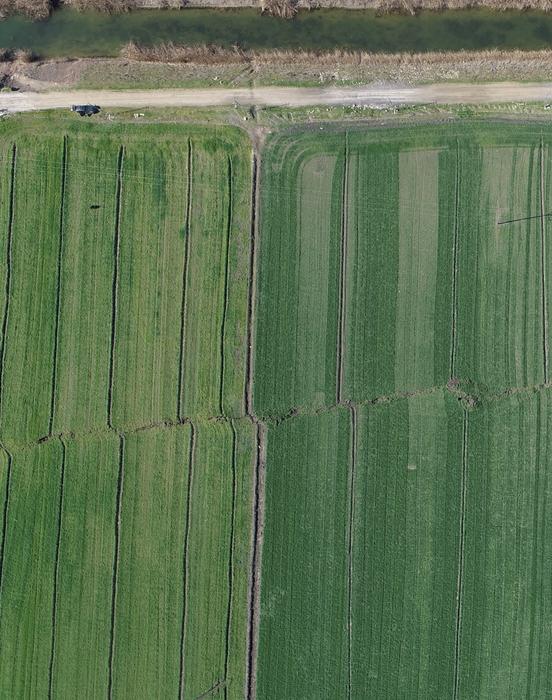 Drone image of ground offset o [IMAGE] | EurekAlert! Science News Releases