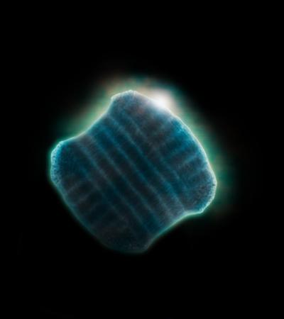 Self-Assembling Super-Crystals (3 of 5) | EurekAlert!