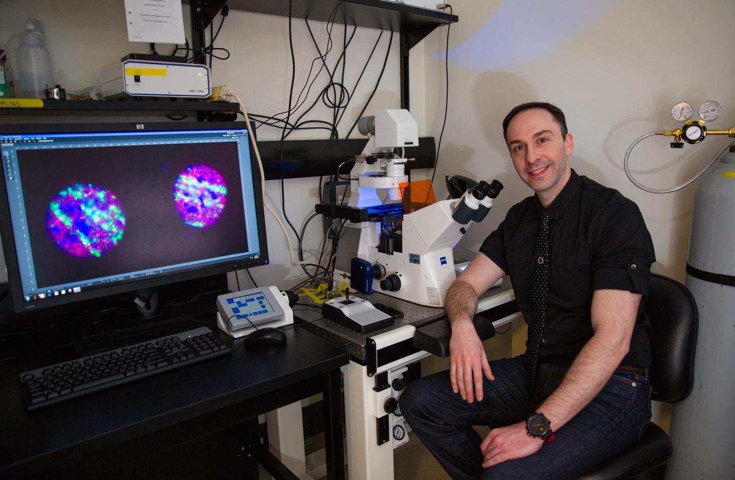 Dr. Aaron Goodarzi, University [IMAGE] | EurekAlert! Science News Releases