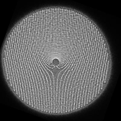 A Twist That Improves Electron [IMAGE] | EurekAlert! Science News Releases