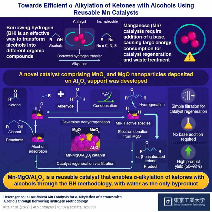 Towards Efficient α-Alkylation [IMAGE] | EurekAlert! Science News Releases