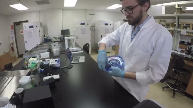 Salamanders' Resilience to a Warming Climate | EurekAlert!