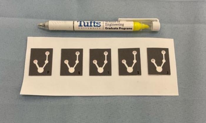 Paper Detection of Bacterial C [IMAGE] | EurekAlert! Science News Releases