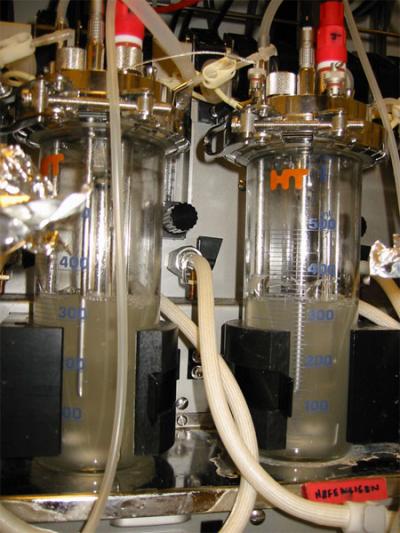 Chemostats [IMAGE] | EurekAlert! Science News Releases