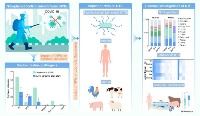 Impact of COVID-19-related Non [IMAGE] | EurekAlert! Science News Releases