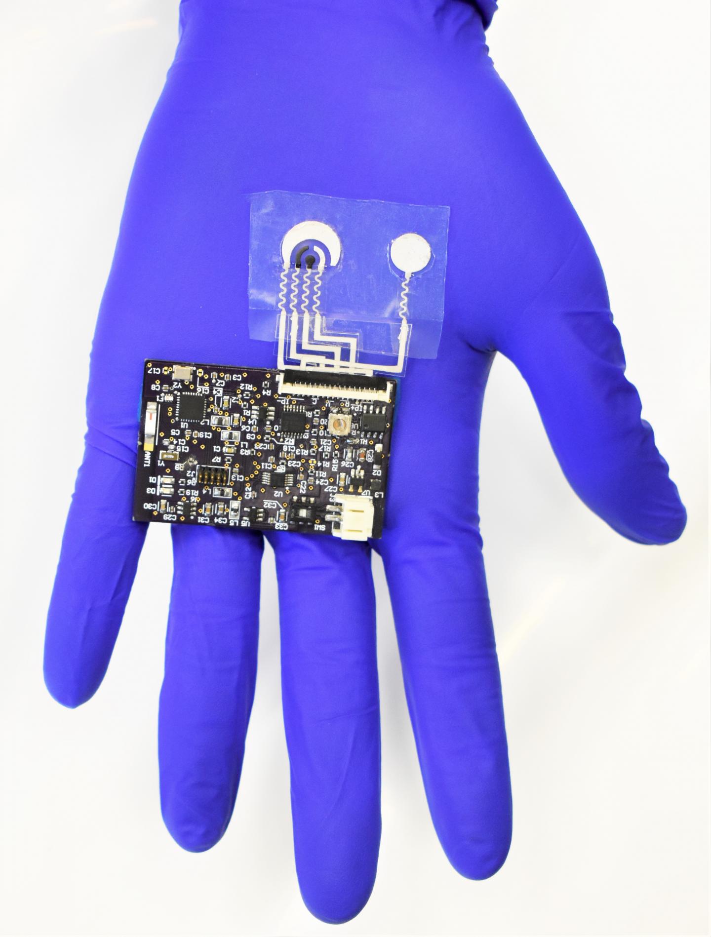 Sensors and Electronic Board [IMAGE] | EurekAlert! Science News Releases