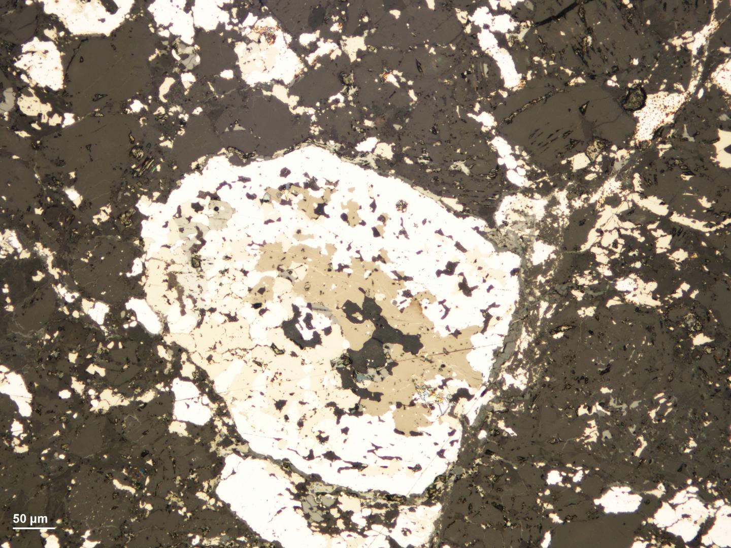 Enstatite Chondrite ALH 77295 [IMAGE] | EurekAlert! Science News Releases