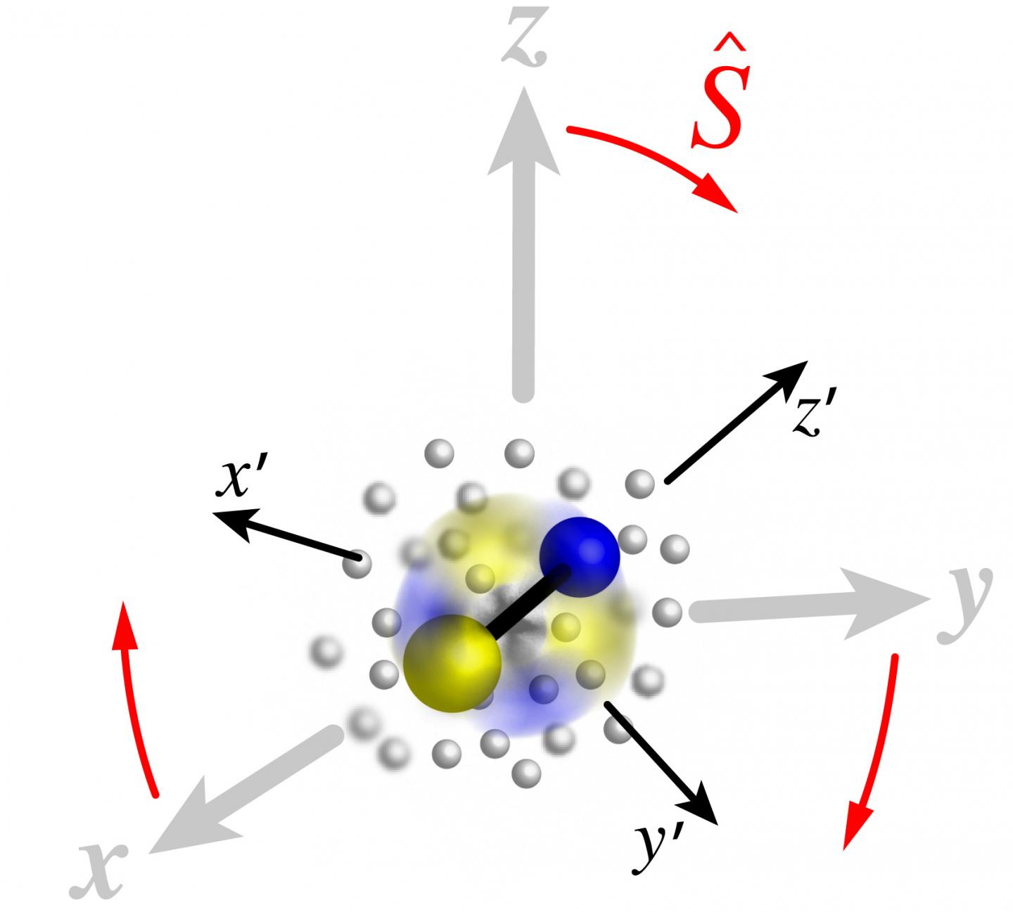 A novel canonical transformation provides ins | EurekAlert!