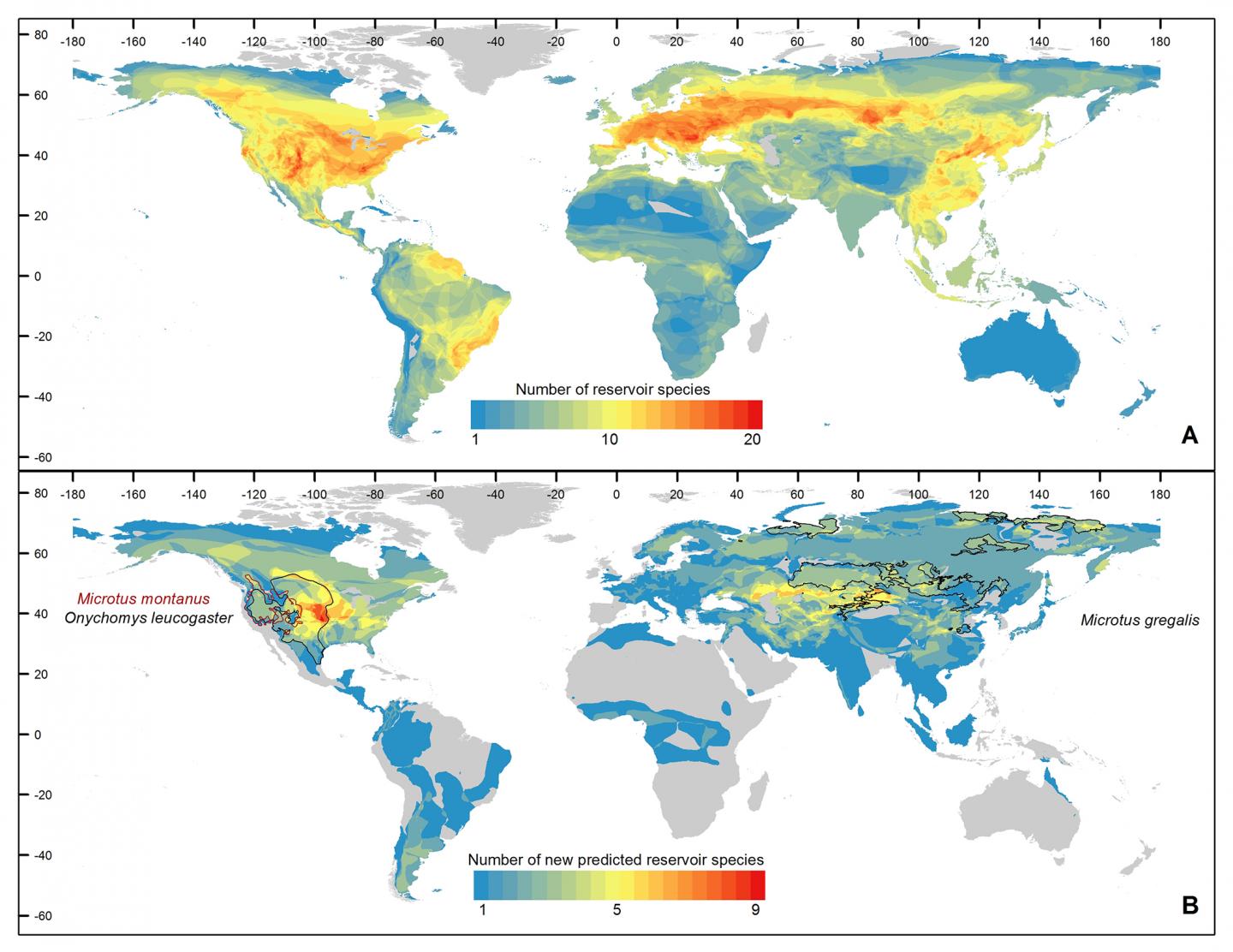 A Map Shows the Global Hot Spo [IMAGE] | EurekAlert! Science News Releases