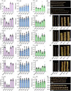 In-depth study sheds light on agrobacterium-m | EurekAlert!