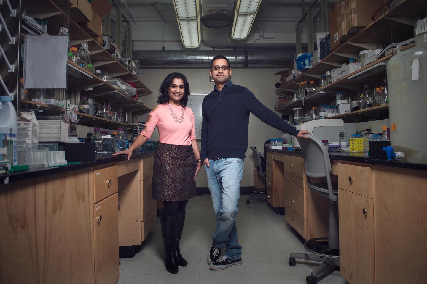 Seema Mattoo and Ranjan Sengup [IMAGE] | EurekAlert! Science News Releases