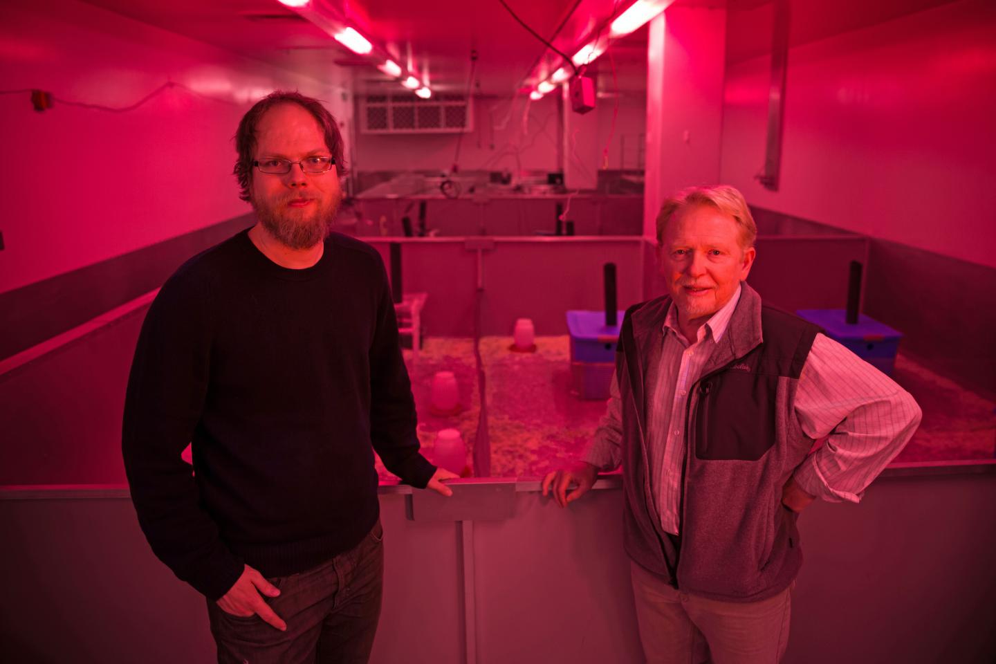 James Ruff and Wayne Potts [IMAGE] | EurekAlert! Science News Releases