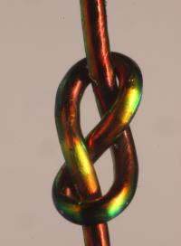 Color-Changing Fiber and Theory Reveal Fundam | EurekAlert!